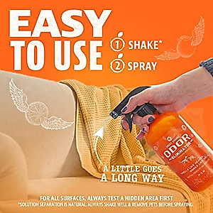 ANGRY ORANGE Pet Stain and Odor Remover - 2 Spray Pack - 32 oz Dog, Ferret, Rabbit & Cat Urine Enzyme Cleaner - 24 oz Pet Odor Eliminator for Strong Odor - for Pee on Carpet, Furniture, Tile, Wood