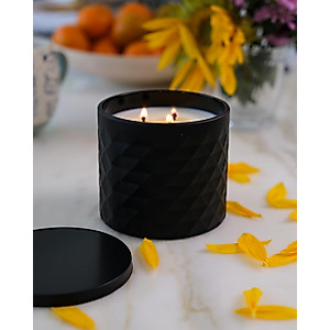Gold Canyon Signature Medium Candle, Coastal Jasmine Scented Candle, 14 oz., Three Wicks, 100% Natural Soy Wax Candle, Notes of Jasmine & Coastal Moss | 35+ Hours of Burn Time