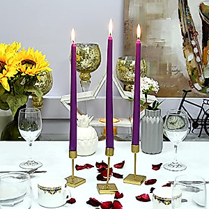 Zest Candle 12-Piece Taper Candles, 12-Inch, Purple