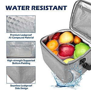 Aprikostein Small Cooler Asclassic, Soft Cooler Bags Insulated 17L 20 Can Portable Collapsible Cooler, Lunch Box Cooler for Men Work Beach Travel Camping, Gray