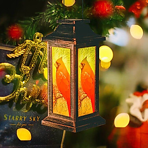Topadorn Hanging Solar Lantern Waterproof Portable Lamp Outdoor Garden Decorative LED Light, Red Bird,10"H