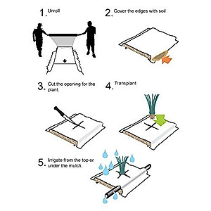 EcoPlanet Bio-degradable Plastic Mulch Film Gardening Farming Film Outdoor Garden Landscape Weed Barrier Blocker Fabric (Type A) (1 Mil, 2.7 feet x 50 feet)