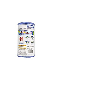 Intex 2 Pack of A/C Filters, Summer Escapes or Summer Waves Above Ground Pools