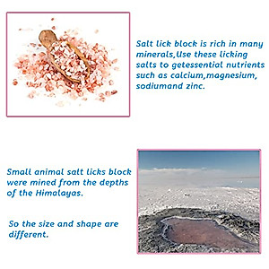 PINVNBY Rabbit Himalayan Salt Lick Block,Small Animals Chew Toys Rabbits Pink Natural Mineral Salts Blocks for Horses Bunny(8 Pcs)