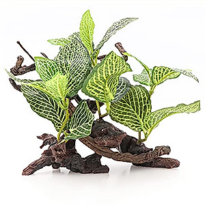 HRRIVE Reptile Rain Forest Ground Plants Decorations for Lizard Snake Bearded Dragon Crested Gecko Amphibian and Terrarium Habitat Decor