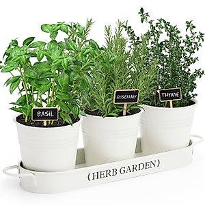 PERFNIQUE Indoor Herb Garden, Herb Garden Planter for Indoor/Outdoor, Farmhouse Plant Pots, Windowsill Herb Garden with Tray(Planter only) Window Pots