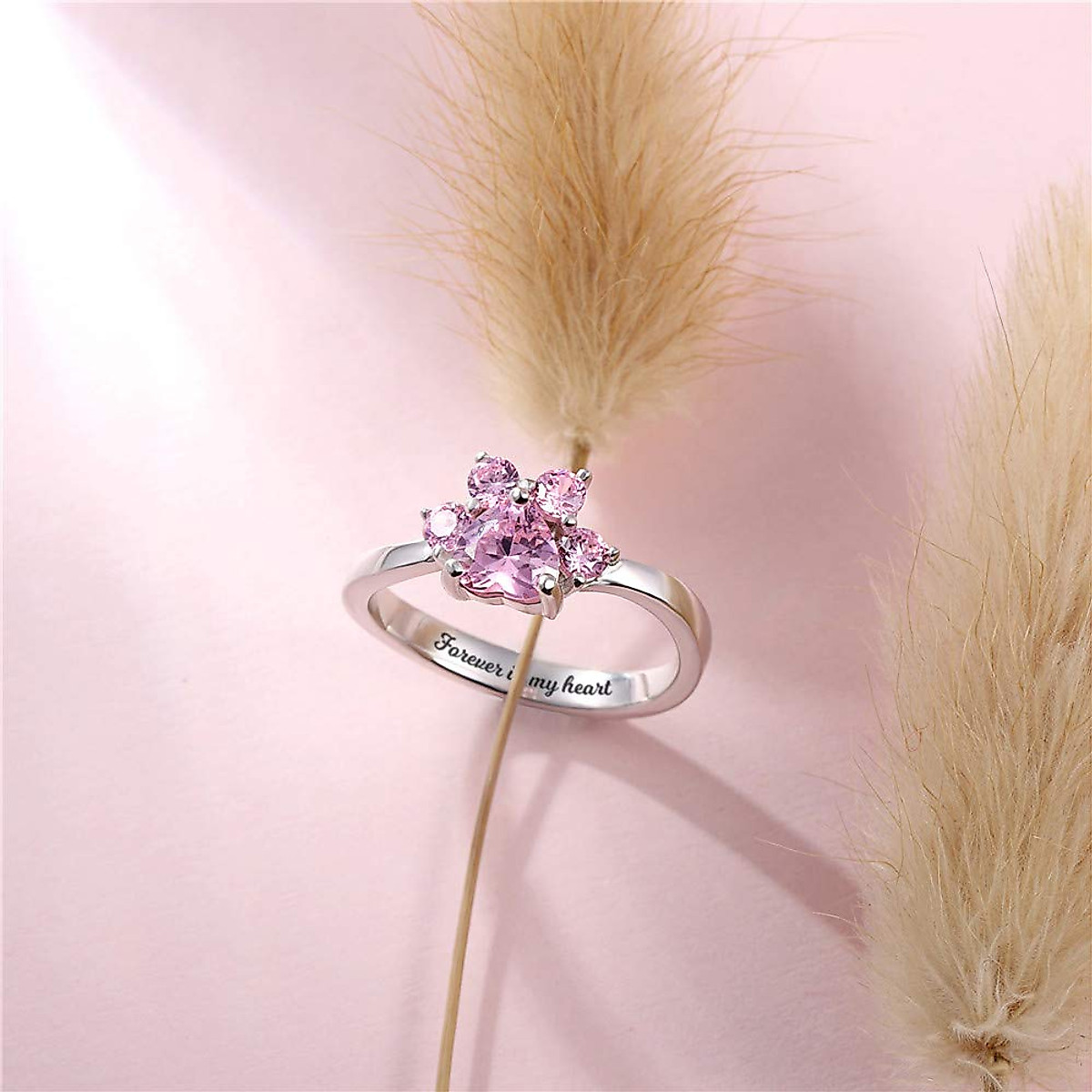 AILIN Custom Birthstone Rings 925 Sterling Silver Personlized Pet Paw Print Cubic Zirconia Inside Engraved Ring Birthday Jewelry Memorial Gifts For Women