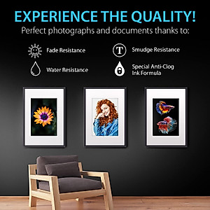 Smart Ink Compatible Ink Cartridge Replacement for HP 972A 972 (4 Pack Combo) to use with PageWide Pro 477dw 577dw 452dw 477dn 452dn 577z 552dw 377dw P55250dw Printers (Black & Cyan Magenta Yellow)