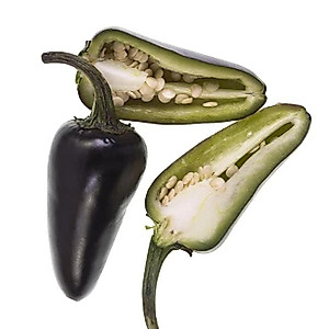 Pepper Joe’s Purple Jalapeno Pepper Seeds ­­­­­– Pack of 10+ Rare Mild Hot Pepper Seeds – USA Grown ­– Premium Non-GMO Purple Jalapeno Seeds for Planting in Your Garden