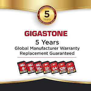 [Gigastone] 256GB SD Card UHS-I U1 Class 10 SDXC Memory Card High Speed Full HD Video Canon Nikon Sony Kodak Olympus Panasonic Digital Camera, with 1 Mini case