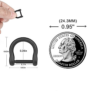 TISUR Titanium Key Ring，D-Rings Key Rings for Keychains Heavy Duty with Screw Shackle, Car Key Chain Ring for Men and Women 2 Pcs (Black Matte XS)