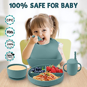 Silicone Baby Feeding Set, 2 Adjustable Bibs with Food Collectors, 1 Suction Cup Divider, 1 Suction Cup, 1 Sippy Cup,1 Stage 1 Spoon and 1 Fork, Baby Led Weaning Utensils,Toddler Self Feeding Set
