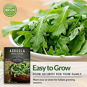 Survival Garden Seeds - Arugula Seed for Planting - Packet with Instructions to Plant and Grow Garden Rocket Green Leafy Vegetables in Your Home Vegetable Garden - Non-GMO Heirloom Variety - 1 Pack