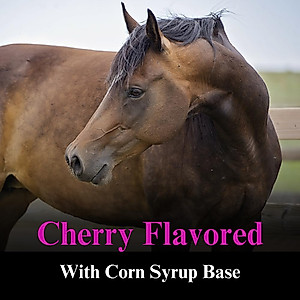 SU-PER Appetite Supplement for Horses - Equine Appetite Booster Liquid Feed Supplement - Vitamin Support for Healthy Appetite - 1 Quart, (2 Pack)