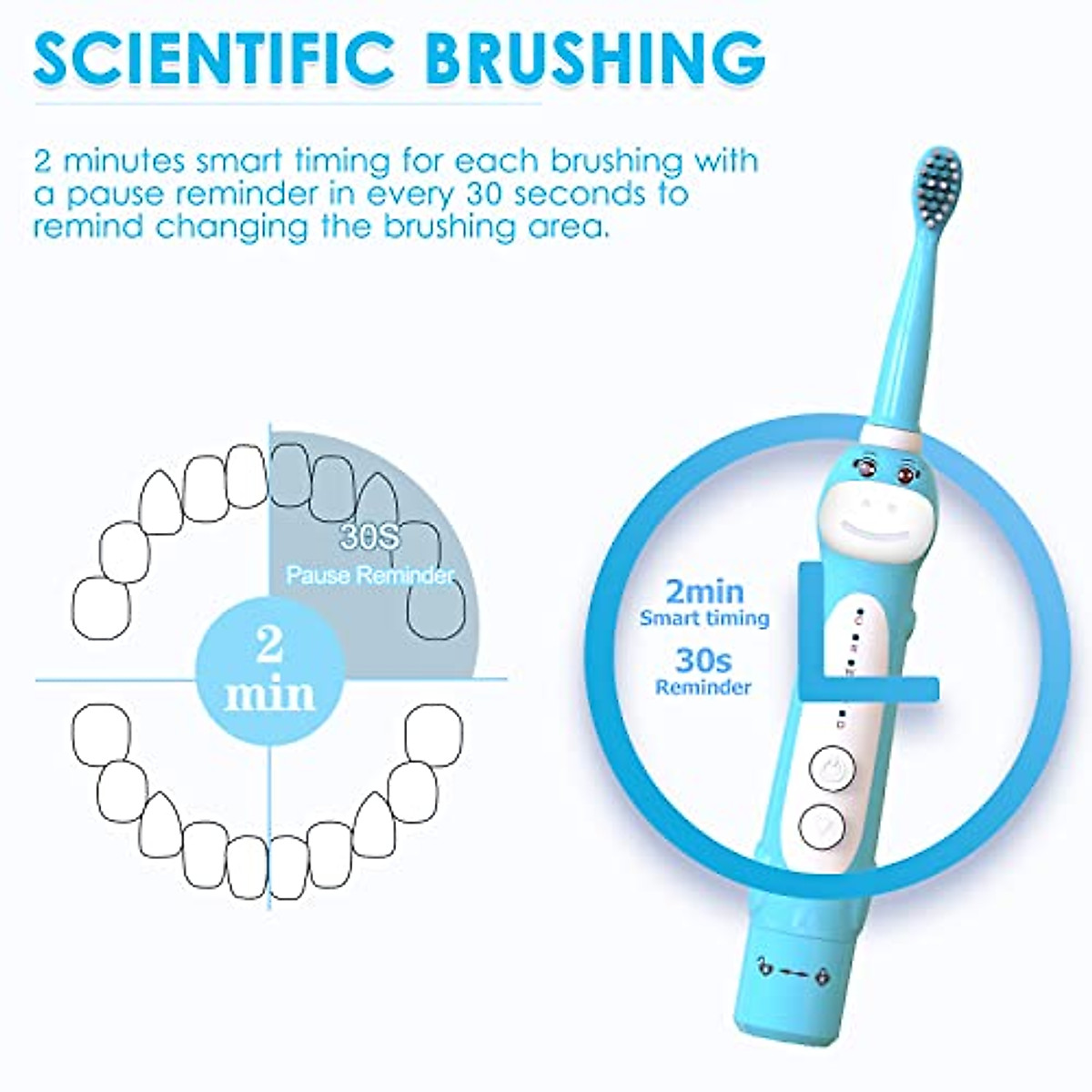 CHAIN PEAK Dinosaur Toothbrush, Kids Sonic Electric Toothbrush for Children, Toddlers Boys Girls Age 3-12 with 30s Reminder, 2 Mins Timer, 5 Modes, 8 Brush Heads