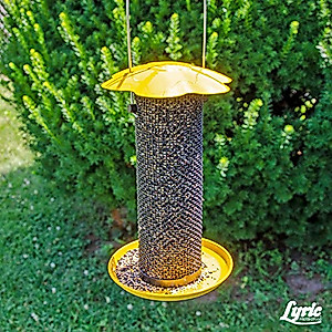 Lyric Finch - Small Songbird Wild Bird Seed - Attracts Goldfinches, House Finches, Purple Finches & More - 5 lb. Bag