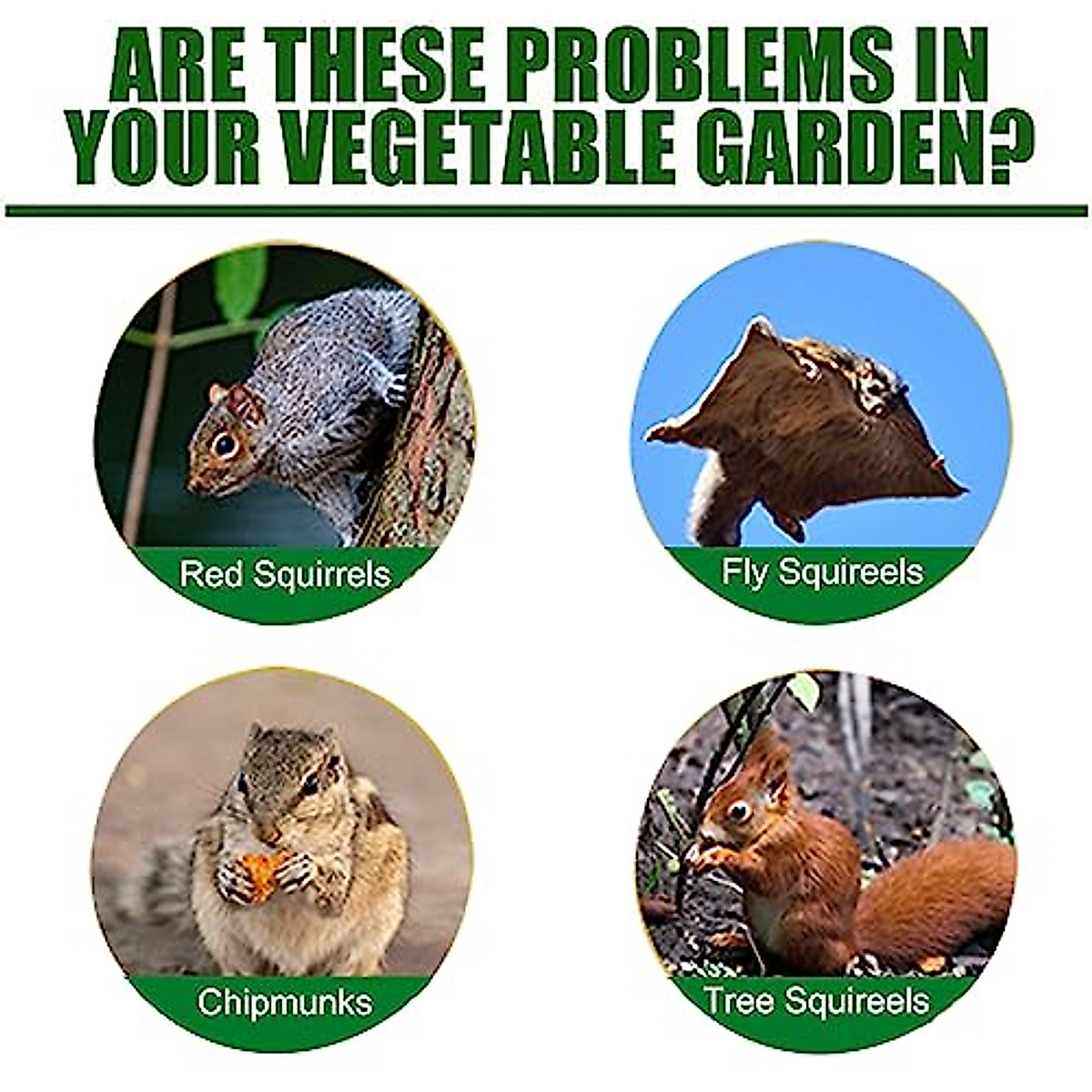 Squirrel Repellent 12 Pack, Chipmunk Repellent Outdoor, Natural Squirrel Repellent & Mint Squirrel Deterrent for Bird Feeders/Garden/Attic,Safe Around Kid & Pets, Keep Squirrel Away for Plants