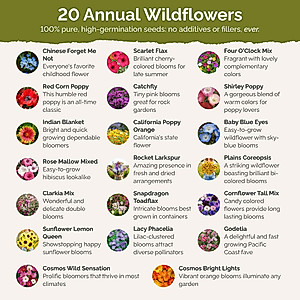 Eden Brothers All Annual Wildflower Mixed Seeds for Planting, 1 lb, 480,000+ Seeds with Sunflower, Indian Blanket, Scarlet Flax | Attracts Pollinators, Plant in Spring, Zones 3, 4, 5, 6, 7, 8, 9, 10