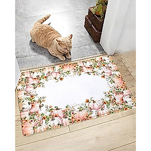 Floor Door Mats Shaggy Carpet Thanksgiving Fall Pumpkin Seamless White,Non Slip Soft Bath Rug Autumn Farm Plant,Fuzzy Area Cushion for Kitchen/Bedroom/Bathroom/Living Room Decor 24x35In