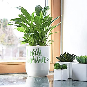 Posco Marker Sanetomo Posca Marker Acrylic Paint Pens Fine Point Tip width 1.8-2.5mm 29 colors PC-5M, For Rock Painting, Fabric, Glass Paint, Metal Paint Including Notebook