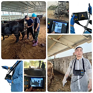 SUNBESTA A20 Veterinary Ultrasound Machine for Pregnancy, at Home Ultrasound for Dogs, Cats, Pigs, Sows, Sheep, and Goats Pregnancy Check (Convex Probe)