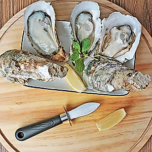 Asdirne Oyster Shucking Knife, Oyster Opener, High Hardness Food Grade Stainless Steel, Professional Blade Technology, Easy to Use, 6.9Inch, 2 Pack, Black