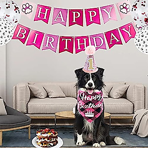 PET SHOW Pink Small Dog First Birthday Party Hat and Bandana Set for Puppies Cats 1 st Birthday Gift Cone Hat Headband Plaid Bandana Grooming Accessories Costume