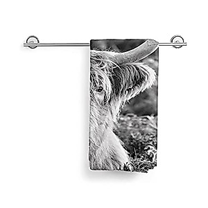 Hand Towel Highland Cows Moorland Face Washcloths Fingertip Bath Towels 27.5 X 15.7 Inch Microfiber Quick Dry Soft Absorbent Luxury Kitchen Dish Cloth for Bathroom Beach Gym Hotel Salon Spa Sport