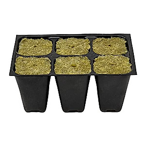 The Hydroponic City Seed Starter Tray, 144 Cells (24 Trays - 6 Cells Per Tray) + THCity Stakes
