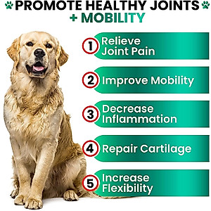 (2 Pack) Hemp Hip and Joint Supplement for Dogs - Glucosamine for Dogs - 340 Dog Joint Pain Relief Treats - Chondroitin, MSM, Hemp Oil - Advanced Dog Joint Supplement Health - Mobility Support Chews
