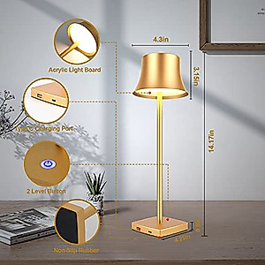 LED Desk Lamp Cordless Table Light, Rechargeable Battery Powered USB Charging Port 3 Levels Brightness Dimmable for Outdoor Modern Restaurant Dining Bedroom Study Portable Lights Set of 2 Pack Gold