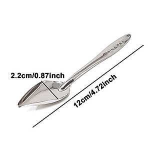 HONBAY 4PCS Stainless Steel Bird Feeder Spoons Parrot Feeding Scoops Hand Feeding Spoons for Parrot