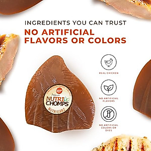 NutriChomps Nutri Ears-Easy to Digest, Rawhide-Free Dog Treats, Bundle of 10, Real Chicken Flavor, Brown (NT082V-10)