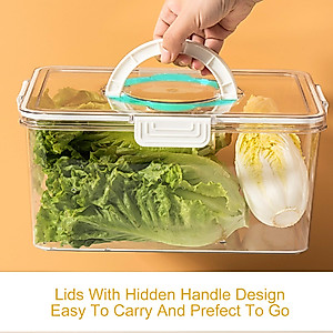 Fruit Storage Containers for Fridge with Airtight Lid & Handle - Refrigerator Food Storage Containers with 4 Removable Colanders, Vegetable Berry Keep Fresh Containers | BPA-Free(Grey)