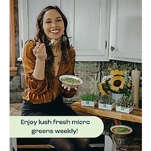Urban Leaf Microgreens Growing Kit - Radish (Raphanus sativa), Kale (Brassica napus var pabularia), Rainbow Mix, Mustard (Brassica juncea), Spicy Mix and Broccoli Microgreens Seeds (Brassica oleracea)