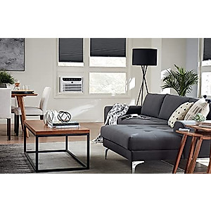 Frigidaire FFRE123WAE Window Air Conditioner, 12000 BTU