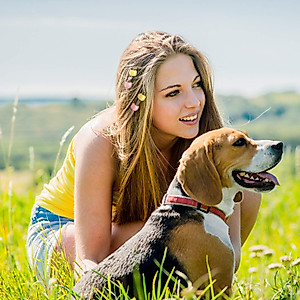 WILLBOND Hair Clip, 300 Pieces Mini Hair Claw Clips for Braids for Girls, Mini Hair Beads Rainbow Tiny Plastic Jaw Clips for Women