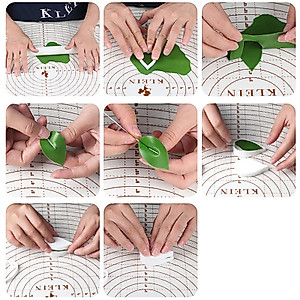 8Pcs Peony Petal Leaves Cookie Cutters Sugar Petal Veiner Gumpaste Molds Candy Molds Decorating Tools