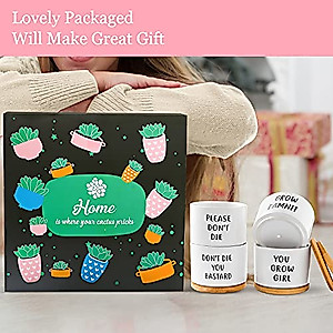 GEMWAVE Small Succulent Pots, Ceramic Pot Planters Cute Office Kitchen Home Decor Gift for Coworkers Handmade Small Plant Pot for Indoor Set of 4 Cool Women Gifts for Plant Lovers