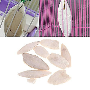 Zonster 1 Bag Cuttlebone Cuttlefish Sepia Bone Cuttle Fish Bird Food Calcium Pickstone Parrot Birds Teeth Grind Training