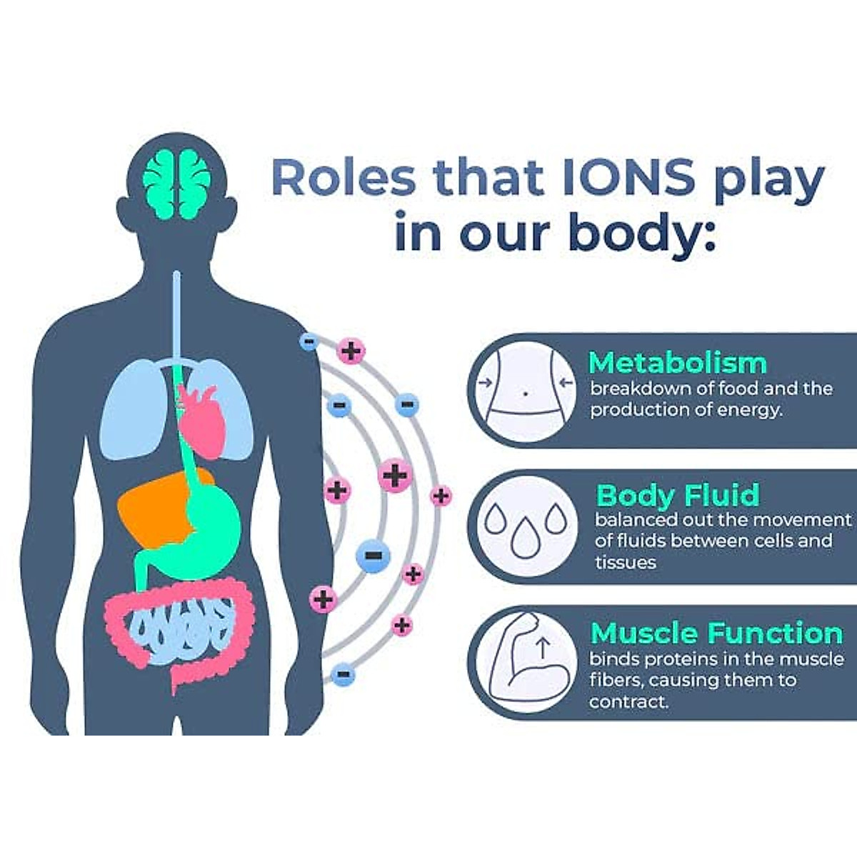 MnPalettey Ovea-llgos Iontitan VitalityBoost Wristband, Titanium Detox Lymph Unclog Magnetic Bracelet (3pcs)