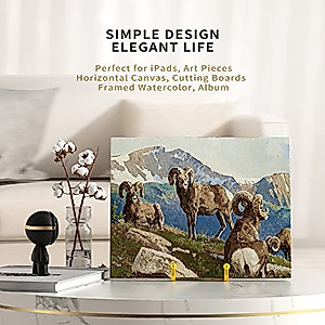 IPAME Plate Stands for Display - 6 Inch Metal Square Wire Plate Holder Display Stand + Picture Frame Stand Holder Easel for Book, Decorative Plate, Plaque, Photo, Platter (Gold 2 Pack)