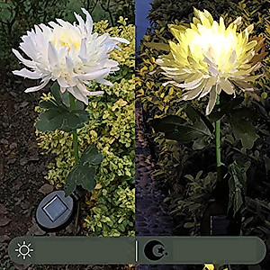 MIWEITOO Solar Flowers Lights Outdoor Decorative, Chrysanthemum Design Landscape Path Lights, Waterproof LED Solar Garden Stake Lights for Patio, Garden, Yard, Lawn, Pathway(White)