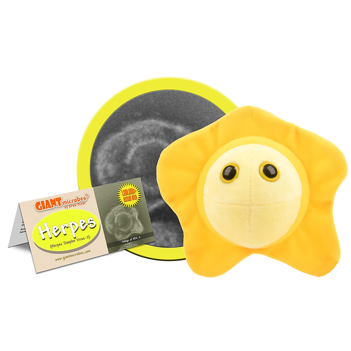 GIANTmicrobes Herpes Plush, STIs, STDs, Medical Gag Gifts Funny, OBGYN Gifts for Doctors, Infection Prevention Gifts, Infection Control Nurse Gifts