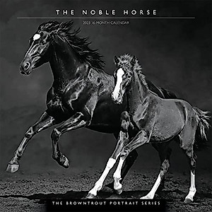 The BrownTrout Portrait Series: The Noble Horse | 2023 12 x 24 Inch Monthly Square Wall Calendar | Pets Equestrian
