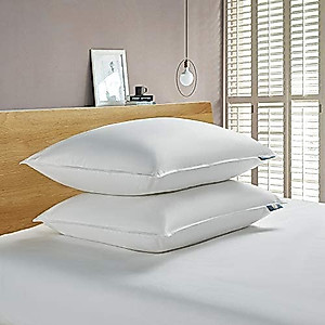 Serta 233 Thread Count White Feather Goose Down Pillow 100% Cotton King Size 2 Pack Pillow for Back Sleeper