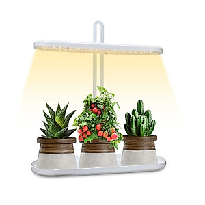 GoGrow LED Plant Light for Indoor Plants, New Generation Desk Grow Light with Timer, Grow Lamp Full Spectrum UV Grow Lights