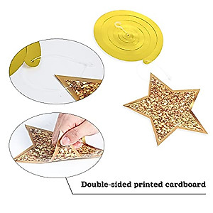 35th Birthday Party Swirls Decorations Birthday Hanging Swirls Ceiling Glitter Celebration 35th Hanging Swirls Cards Cutouts Decorations Ornaments for Men Women 35 Years Old Party Supplies, 30CT