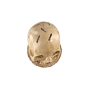 Skull Knife Holder for Kitchen,Skull Ornaments Kitchen Knife Storage Resin Knife Stand Personalized Skeleton Knife Rack Party Fruit Storage Rack Decoration