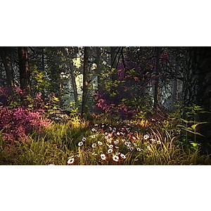 The Witcher 2: Assassins Of Kings Enhanced Edition